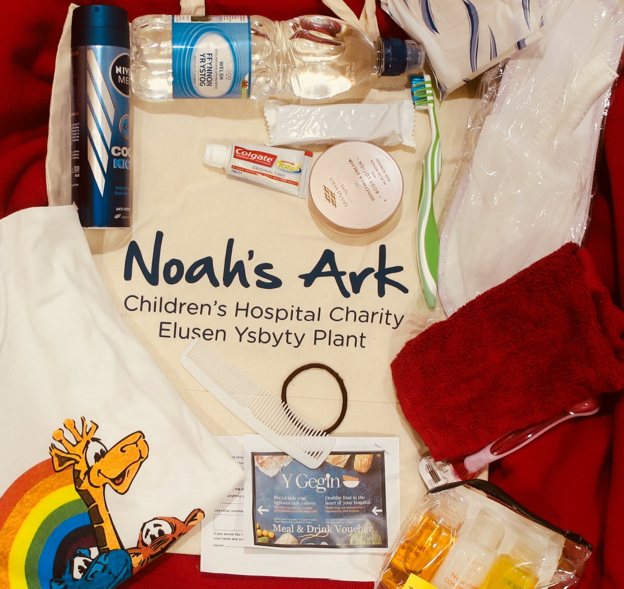 Supporting Children and Families - Noahs Ark Children's Hospital Charity