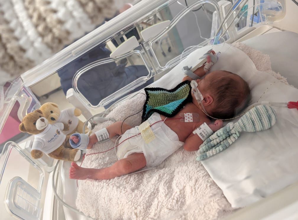 Baby Ieuan's story - Noahs Ark Children's Hospital Charity